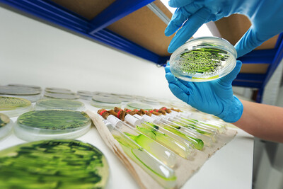 Mendel University in Brno - Czech Universities