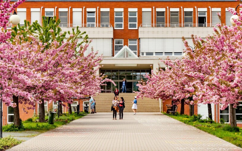 Public and state - Czech Universities