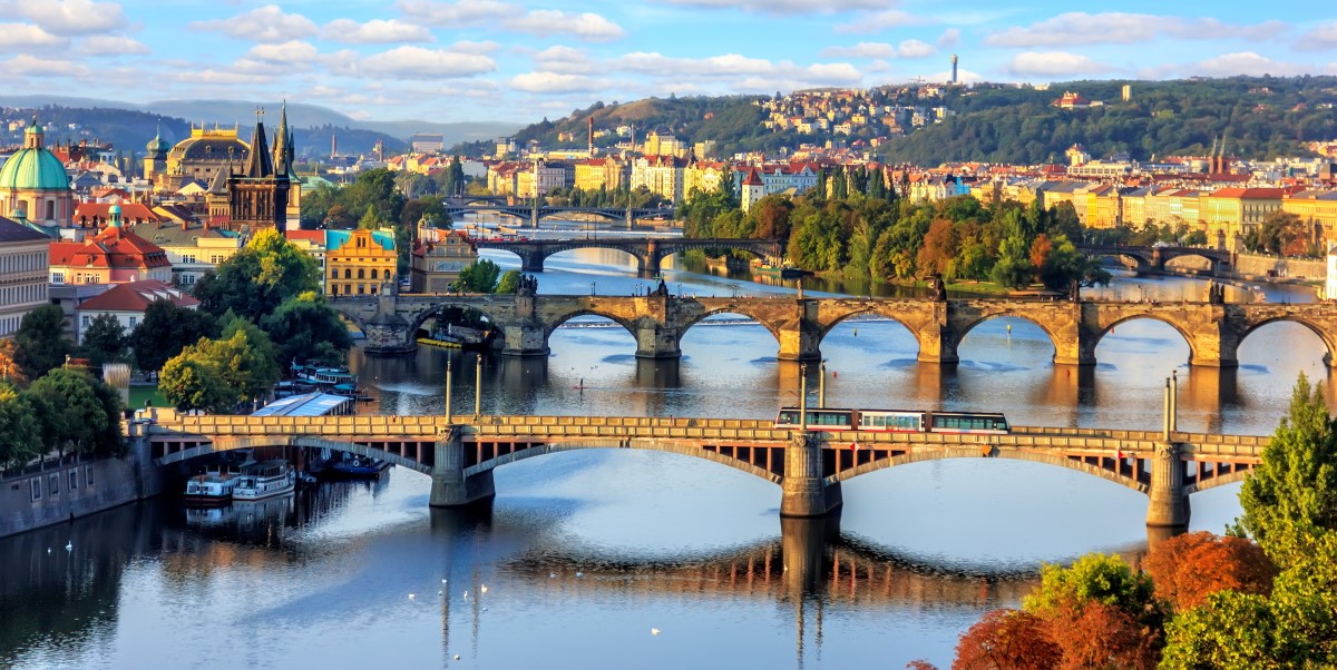 How to choose the right study programme in Czechia - Live & Study ...